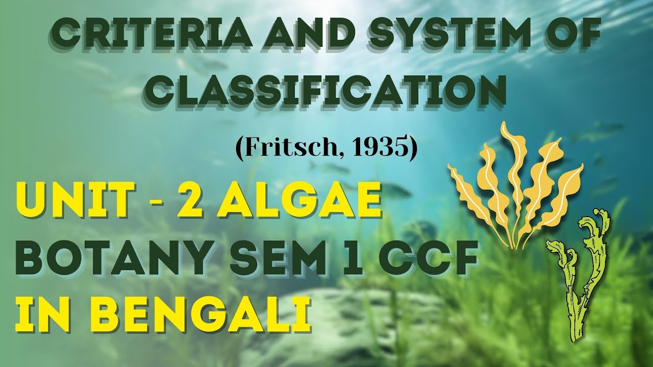 Criteria and system of classification (Fritsch, 1935)। Honours+ General ...