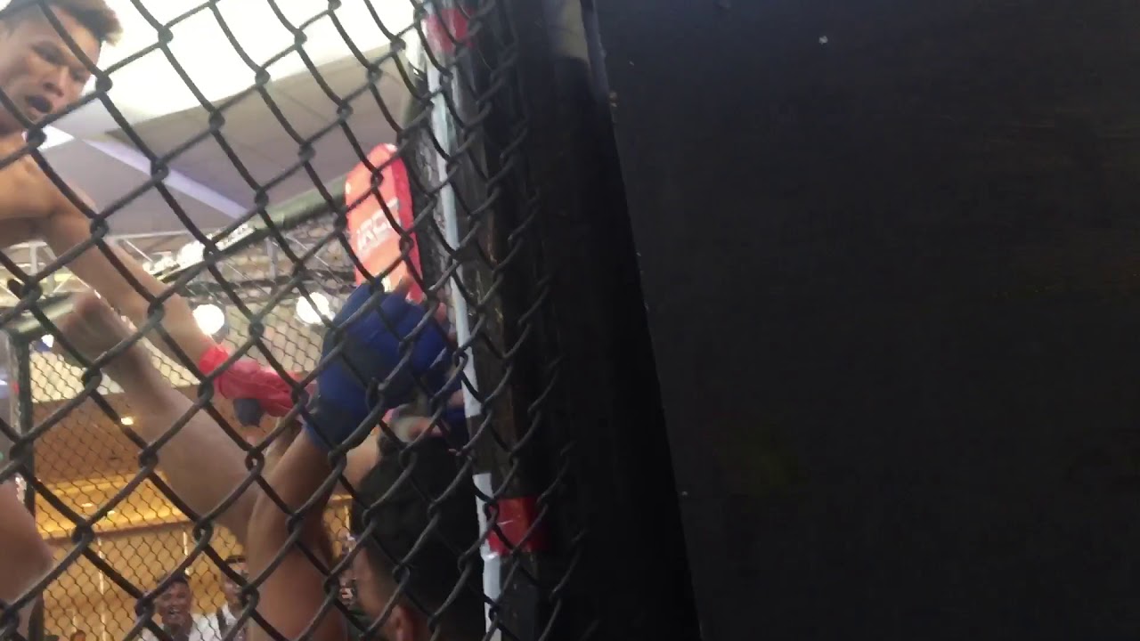 Ariel Oliveros The Lady Boxer dancing MMA fighter - YouTube