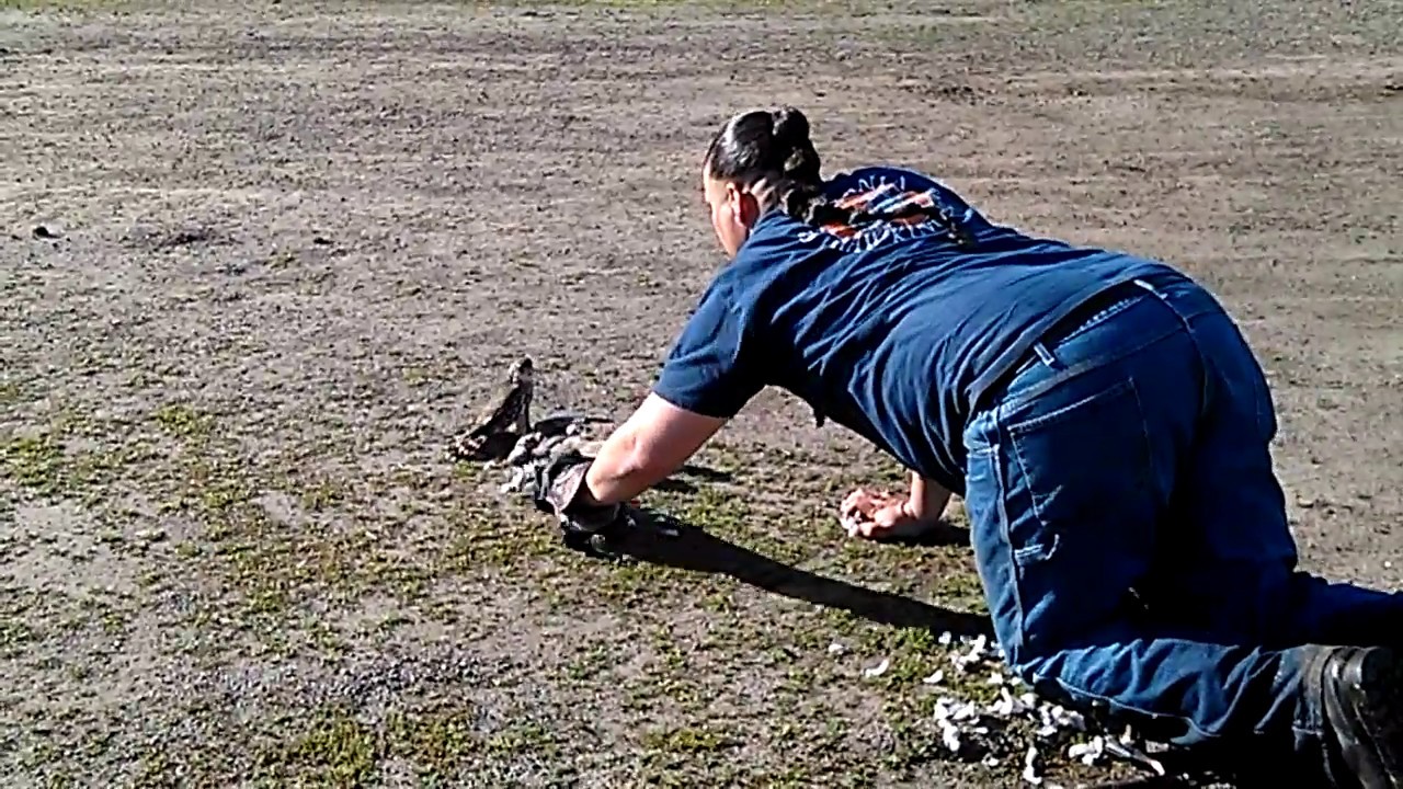 Merlin Training: (bagging) - YouTube