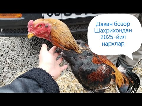 Шахрихон дакан бозор нархлари, Shaxrihon dakan bozor narxlari