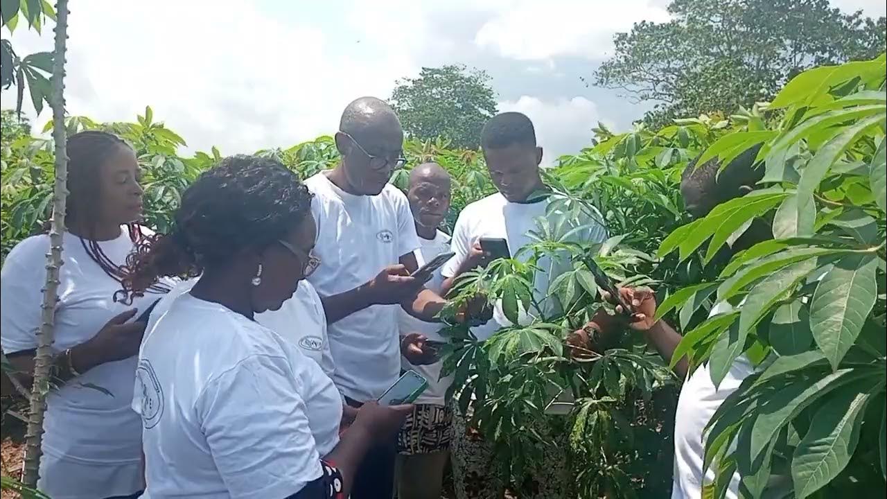 TRAINING ON THE USE OF PLANT VILLAGE NURU APP. FOR ON FARM DISEASE DIAGNOSTICS-DR NKERE ...