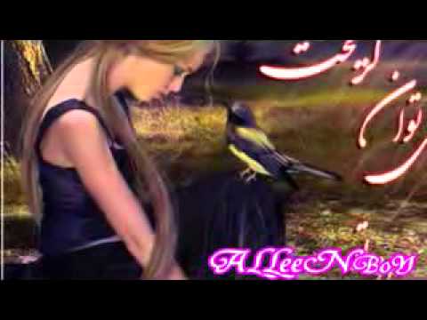 Majid Alipour   Soultane Dard HD