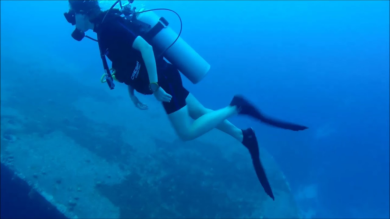 Turtle rain - YouTube