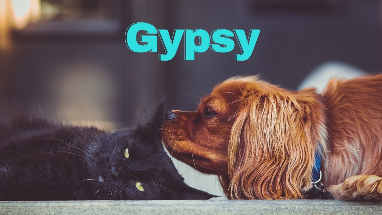 Gypsy - Booth Tarkington - YouTube