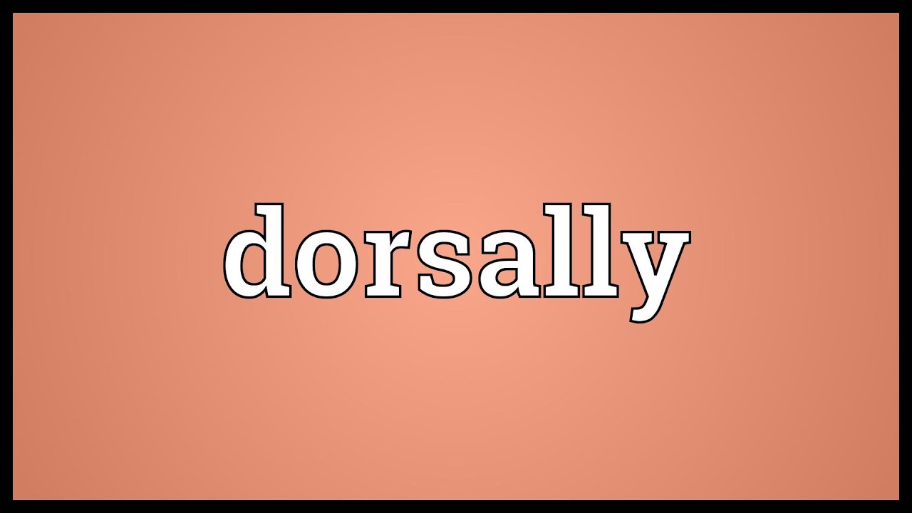 Dorsally Meaning - YouTube
