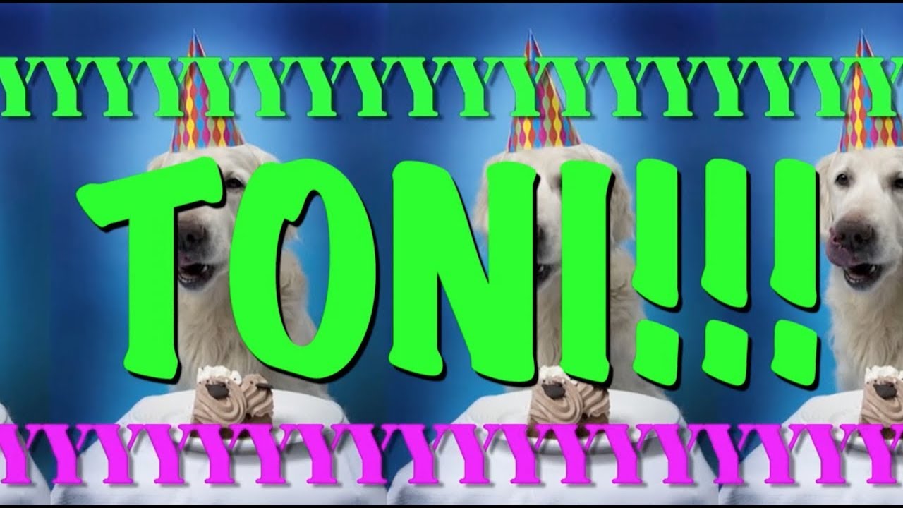 HAPPY BIRTHDAY TONI! - EPIC Happy Birthday Song - YouTube