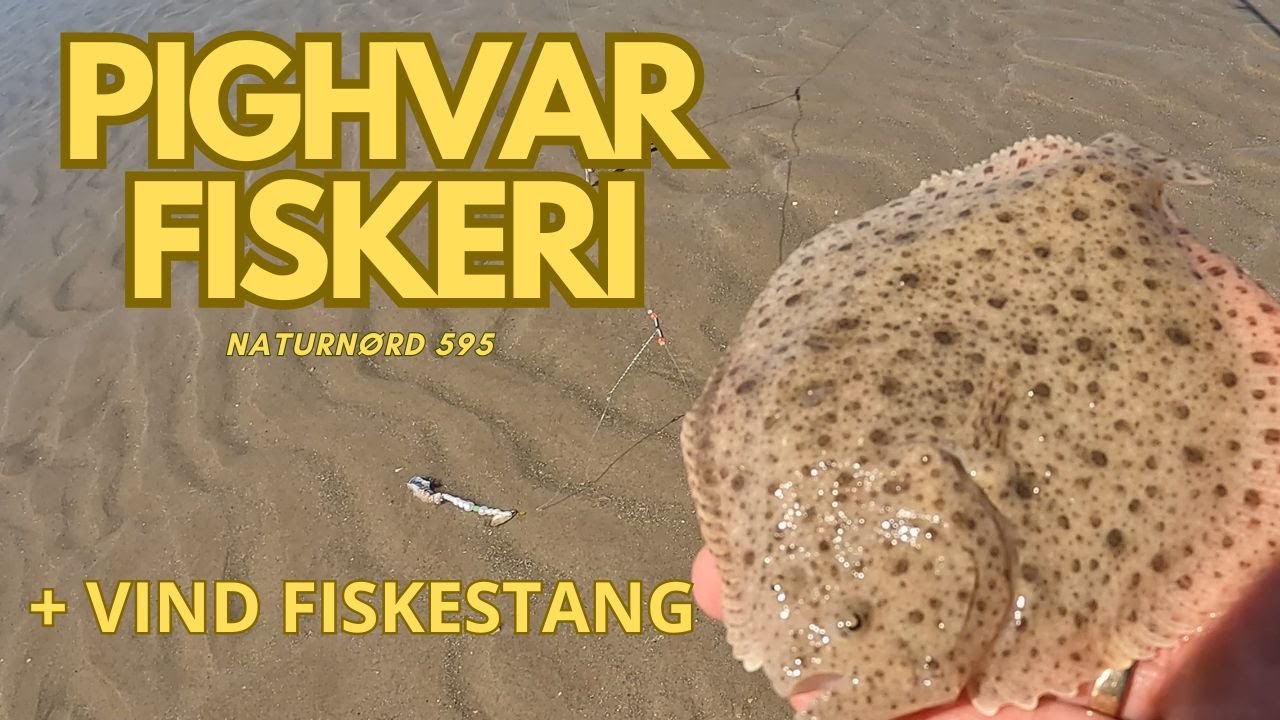 PIGHVAR FISKERI VED VESTERHAVET // NATURNØRD 595 - YouTube