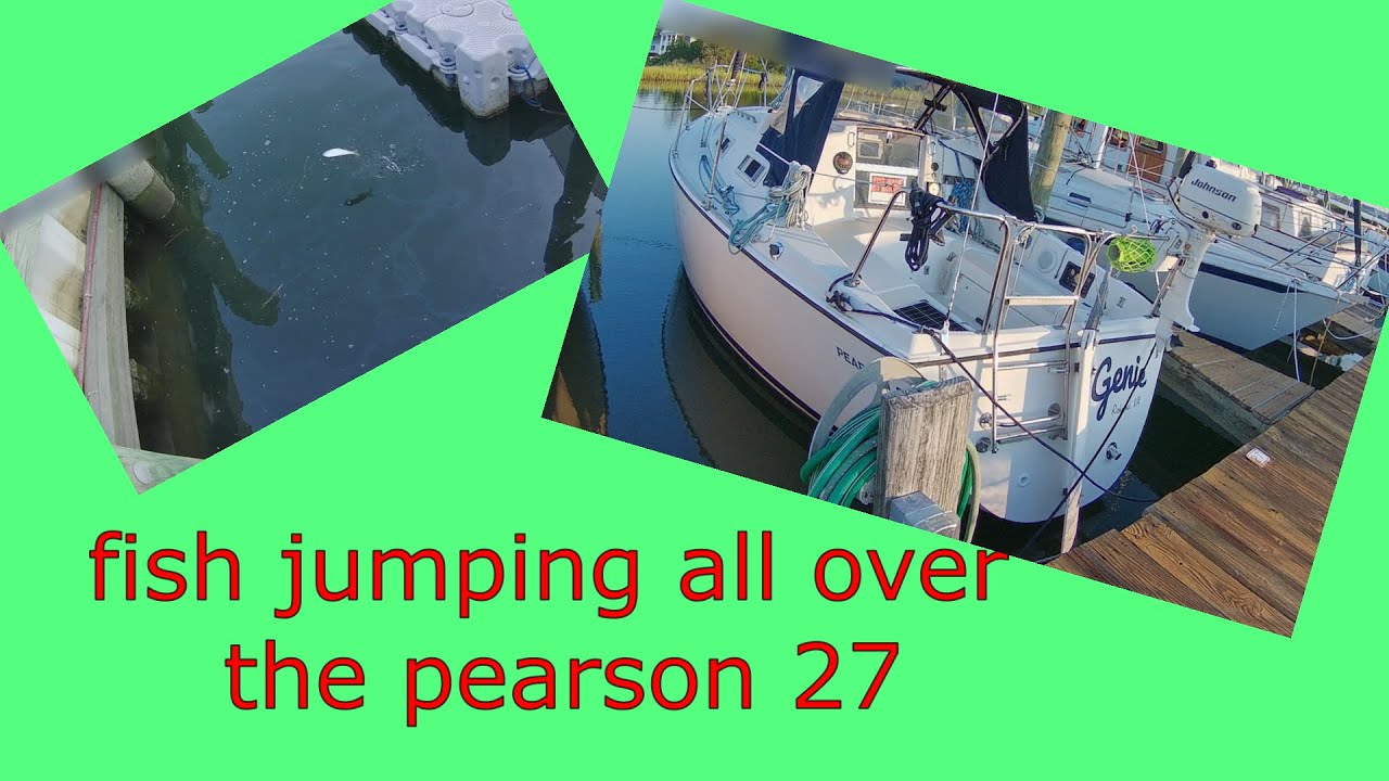 pearson 27 tour - YouTube