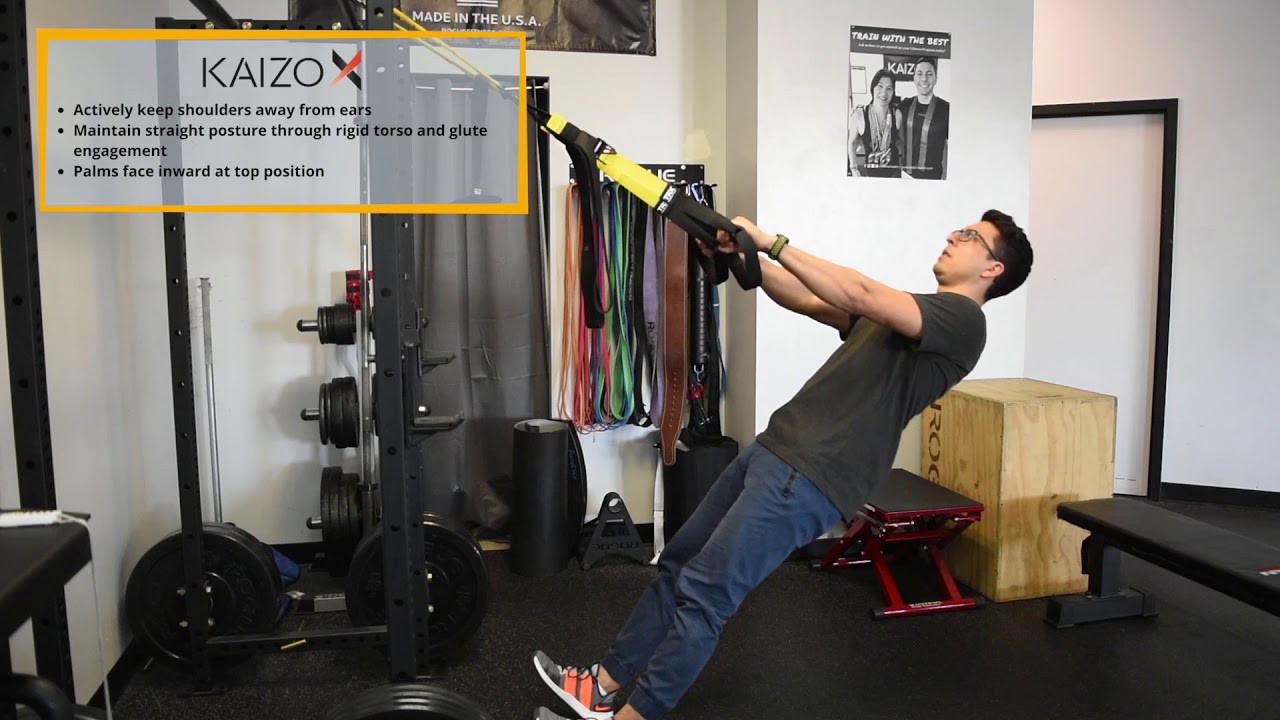 TRX Rows - YouTube