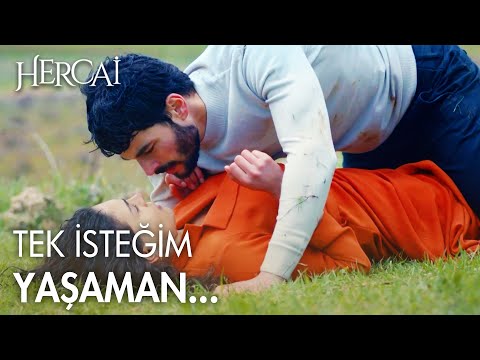 Miran'ın kendisini affetirme çabası | Hercai Kolaj