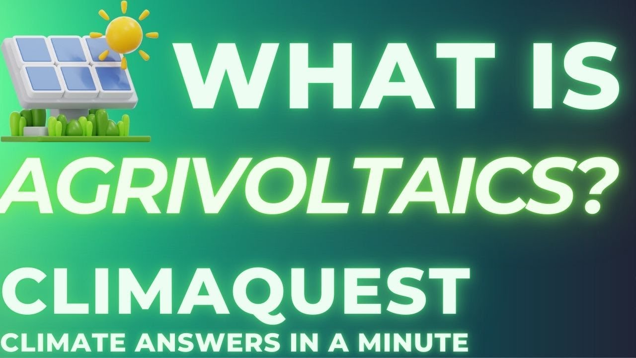 Is Agrivoltaics the future? | ClimaQuest | Clidemy - YouTube