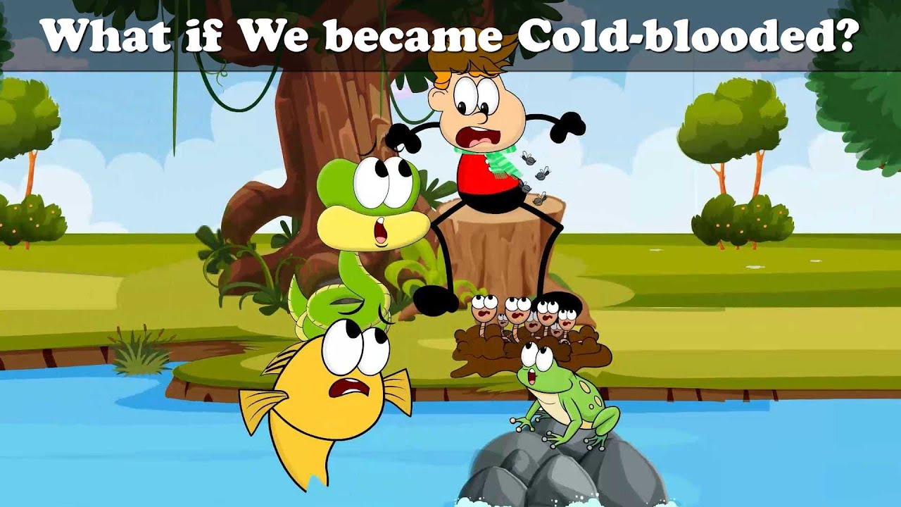 What if We became a Cold-blooded Animal? + more videos | #aumsum #kids ...