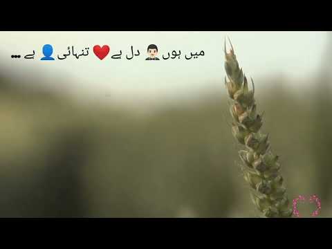 Ye Tanhai 💔! Sad Status For Whatsapp | Heart Touching Poetry in Urdu | Very Deep Lines | Romantic 💕💕