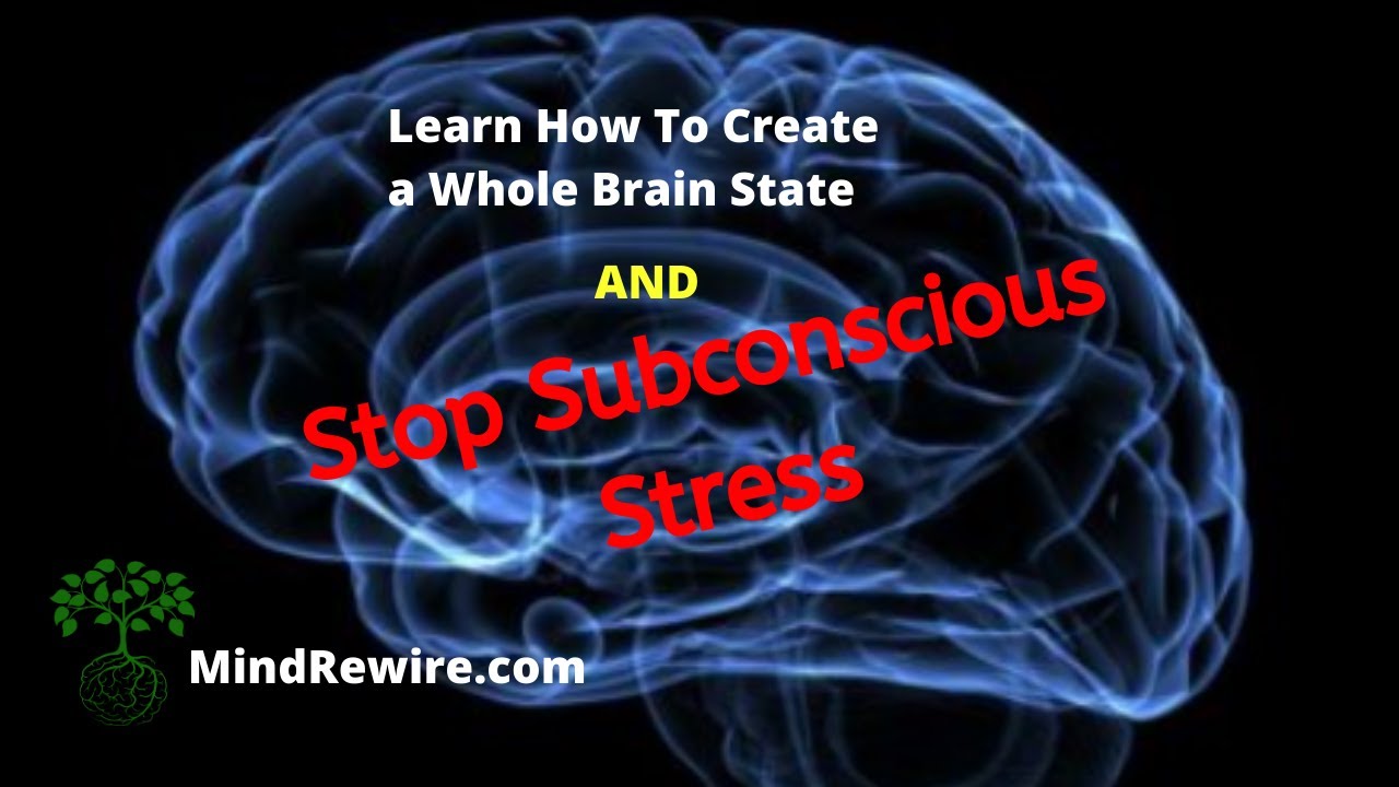 How to use a Whole Brain State, Subconscious Change, Mind Reprogramming ...