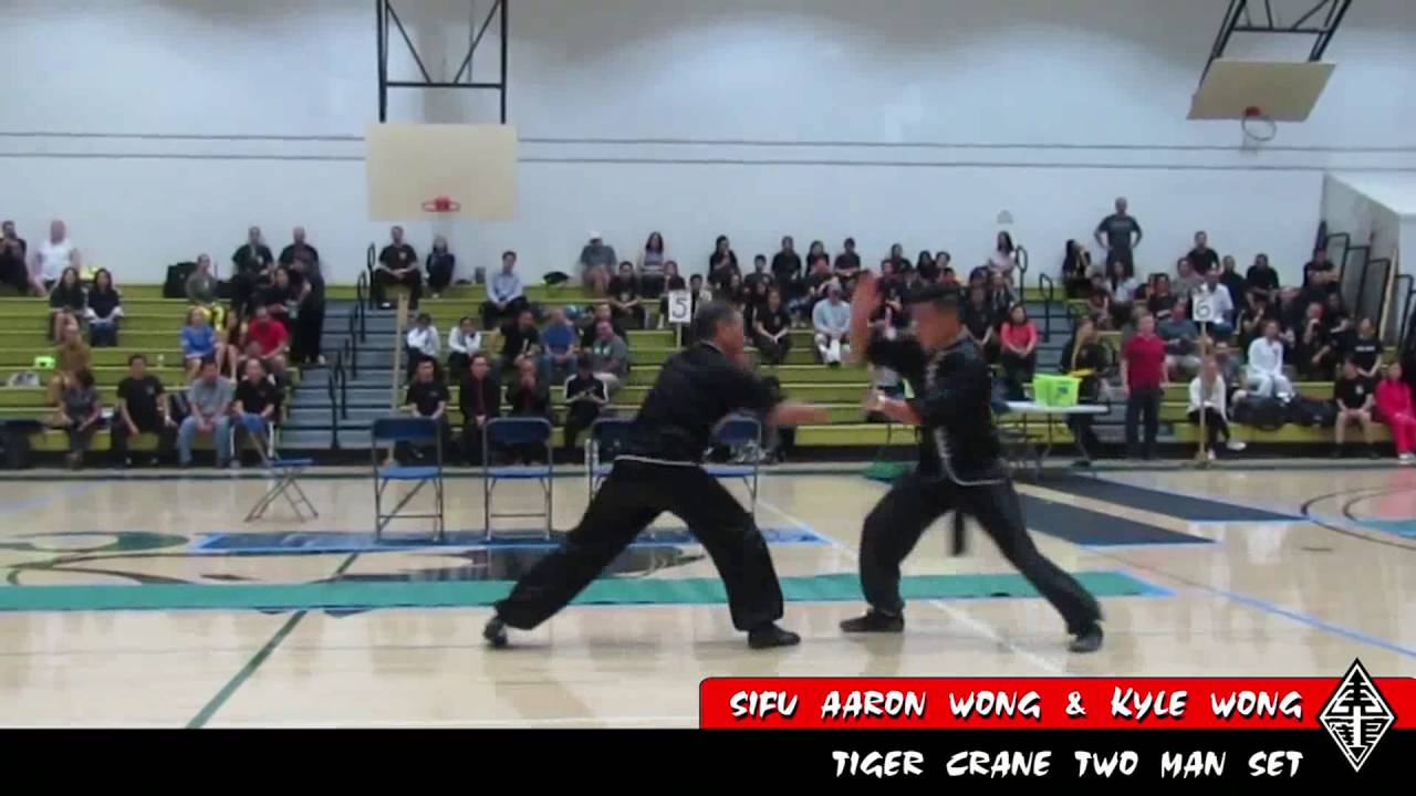 #2016TemptOne Hung Gar Kung Fu 洪家 Tiger Crane Masters Demo 2016 - YouTube