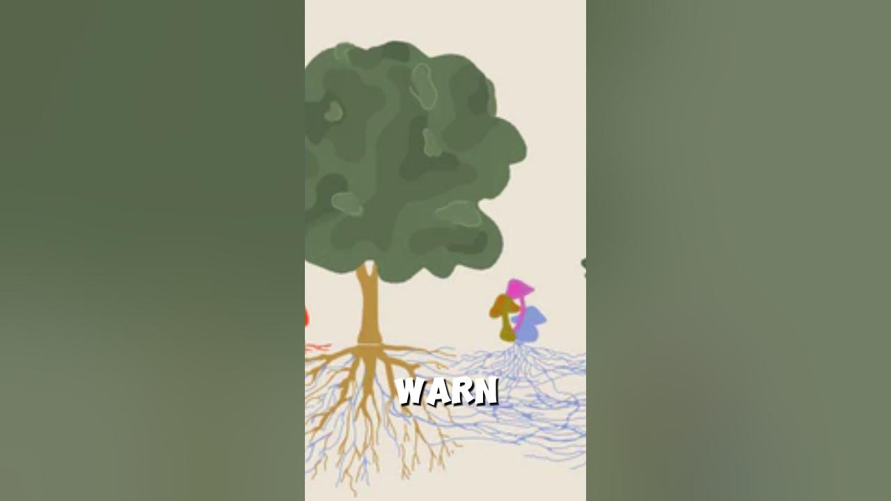 How Trees Secretly Talk to Each Other! 😱😱 - YouTube