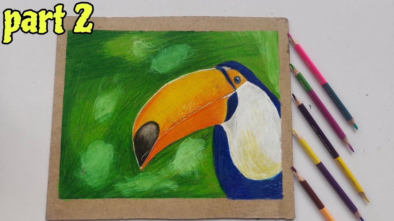 Amazing Colour Pencil drawing of (Toco Toucan) Bird for beginner ...