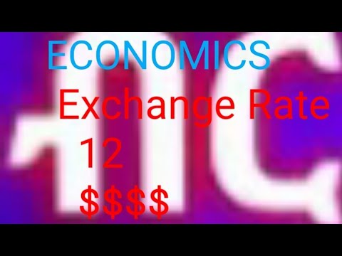 Economics Important Questions - Exchange Rate Explained! - YouTube