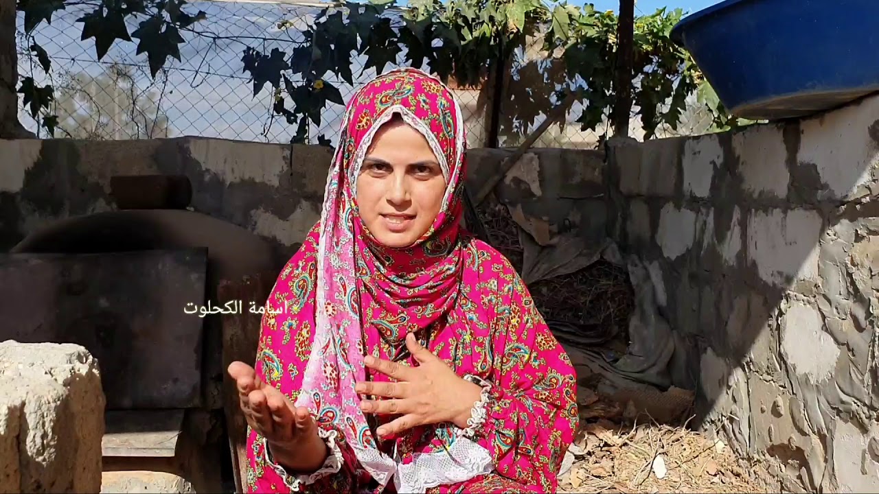 شاهد كيف تستخدم العائلات الفلسطينية جفت الزيتون Youtube