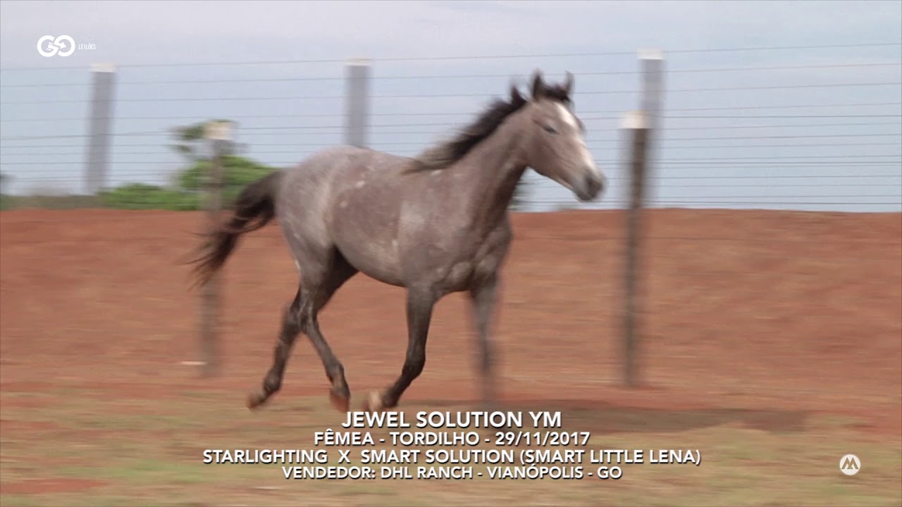 Lote 05 - JEWEL SOLUTION YM - YouTube