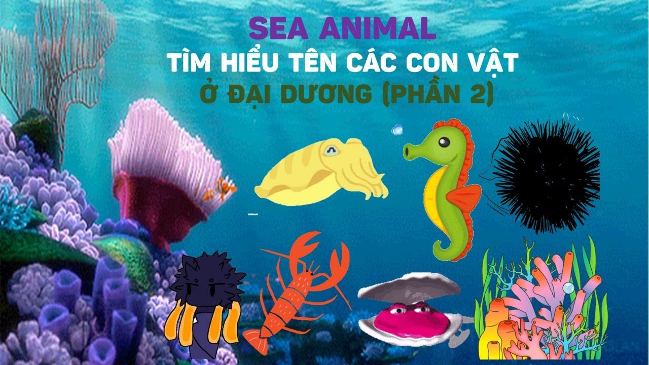 SEA ANIMAL/KHÁM PHÁ ĐẠI DƯƠNG/Names of animals in Vietnamese/Con gì đây ...