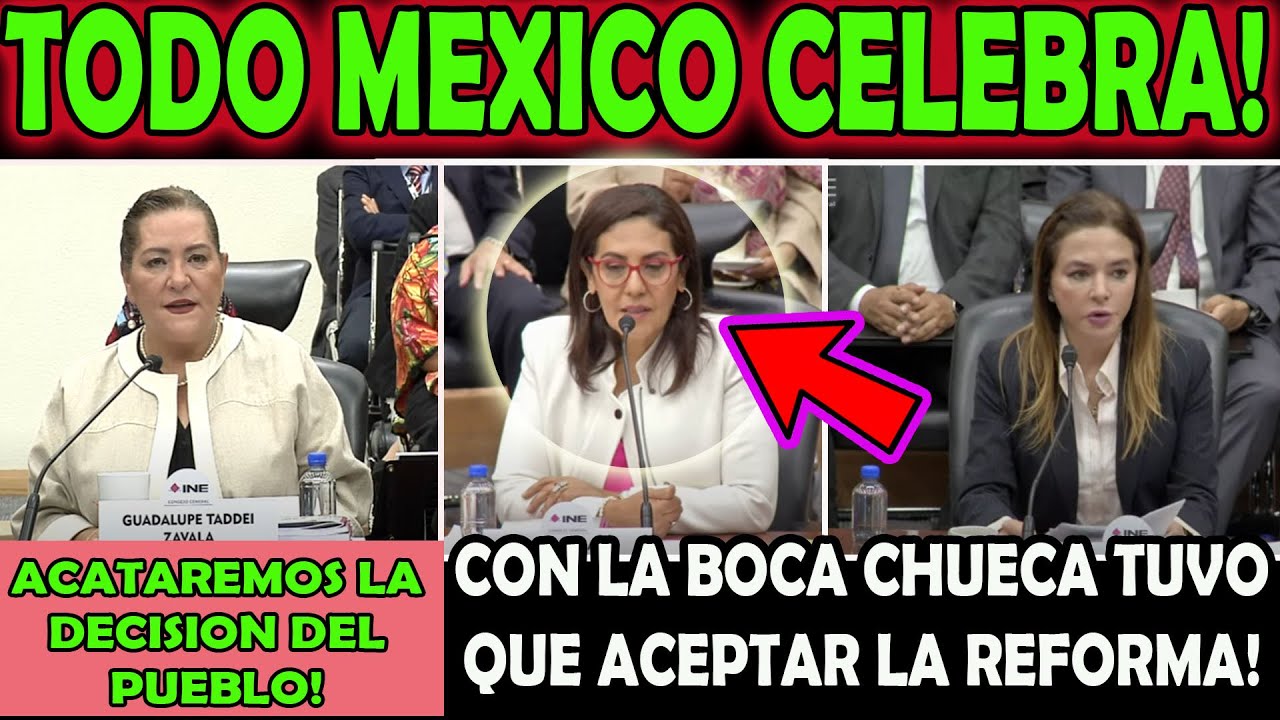 OFICIAL! INE SE CUADRA AL PUEBLO! CLAUDIA ZAVALA CON LA BOCA CHUECA ...