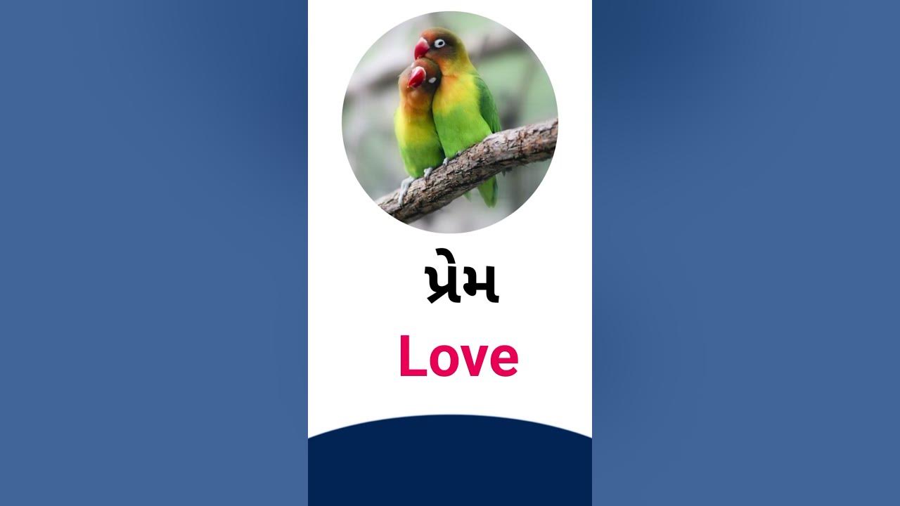 Love Meaning In Gujarati English Dictionary YouTube love-meaning-in-gujarati-english-dictionary-youtube