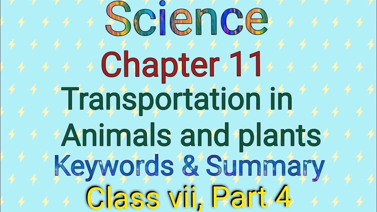 Science Class 7 Chapter 11 Transportation in Animals and plants ...