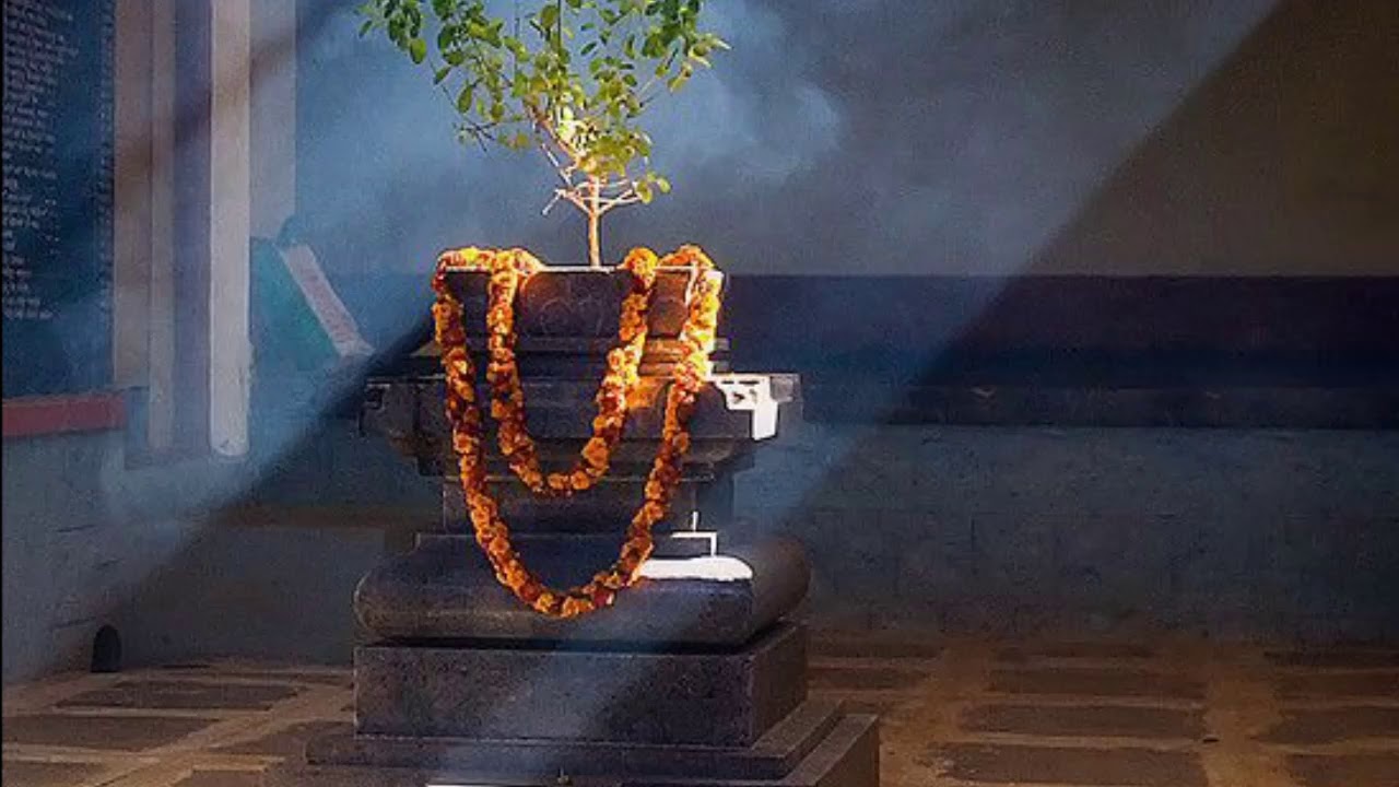 Unch maza zoka title song - YouTube