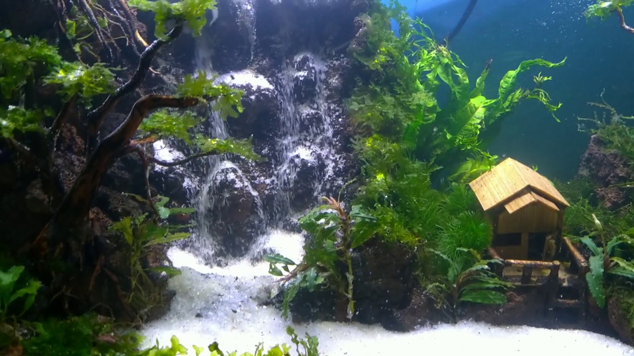 Aquascape waterfall #1 - YouTube