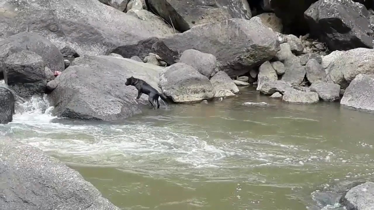 CATCHING FISH AT KYNSHI RIVER//(LONGRAT THEATRES VIDEO) - YouTube