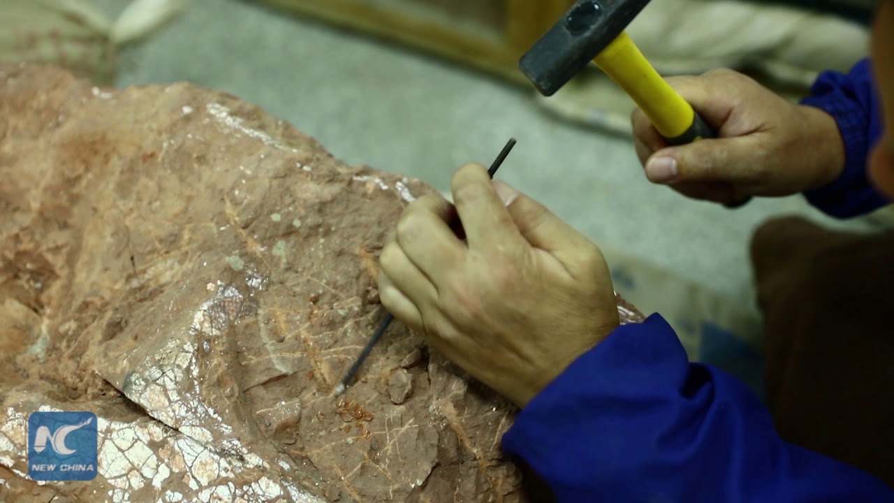 How to restore a fossil in 3 steps - YouTube