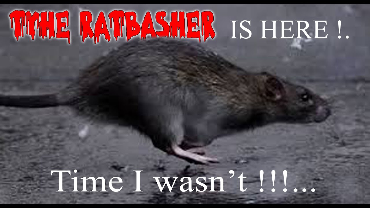 An intro' to The Ratbasher - YouTube