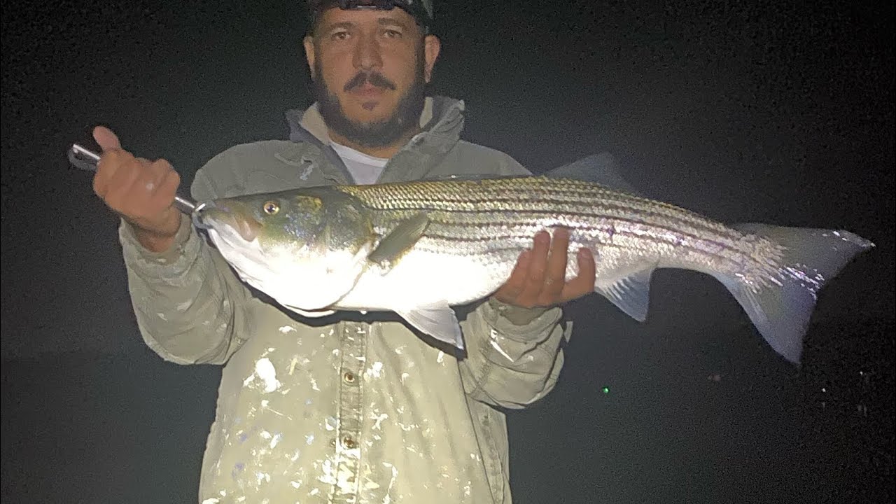 Cape cod striped bass fishing - YouTube