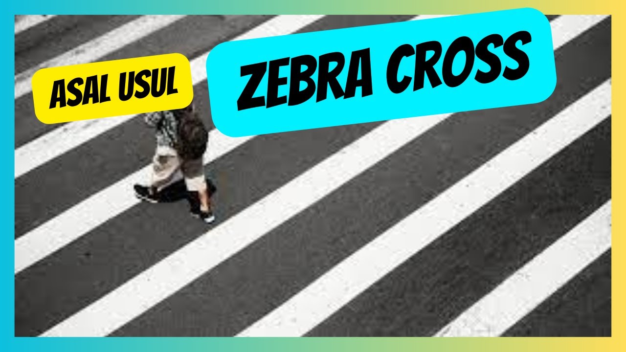 Asal Usul Zebra Cross dan Kenapa Warnanya Hitam dan Putih - YouTube