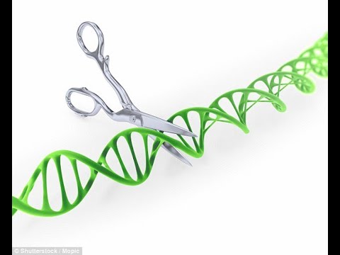 'Unexpected' breakthrough caused by side-effects of CRISPR gene-editing ...
