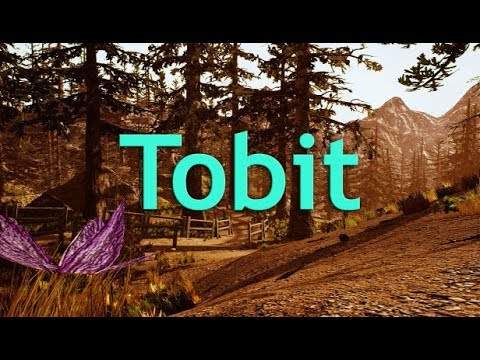 Tobit - Full Game HD ENG Gameplay PC 2020 - YouTube