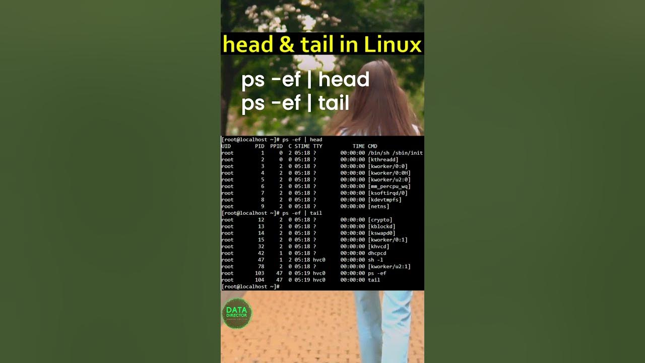 Linux Head And Tail Command Demo In Hindi Linux Unix Shorts Youtube