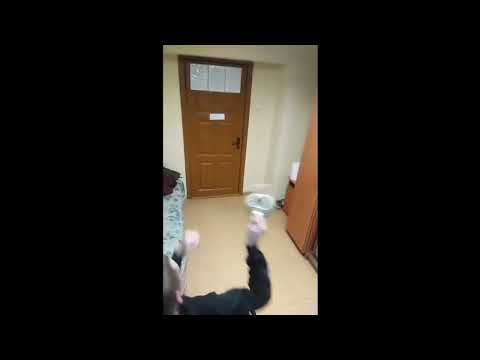 blyat | guy smashes a tea pot meme