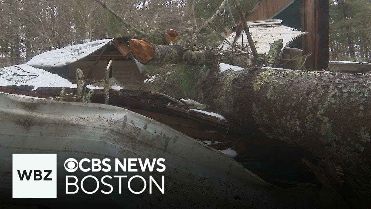 Tree crushes New Hampshire home, couple in bed survive - YouTube