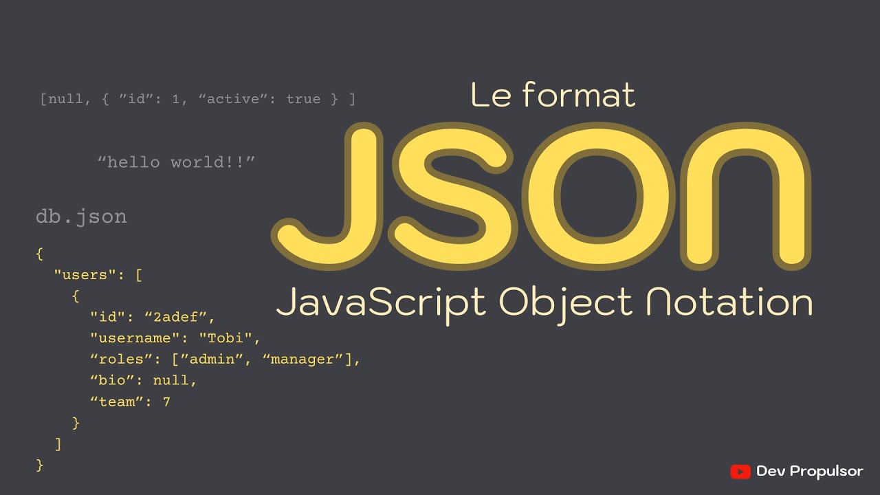 Le format JSON - YouTube