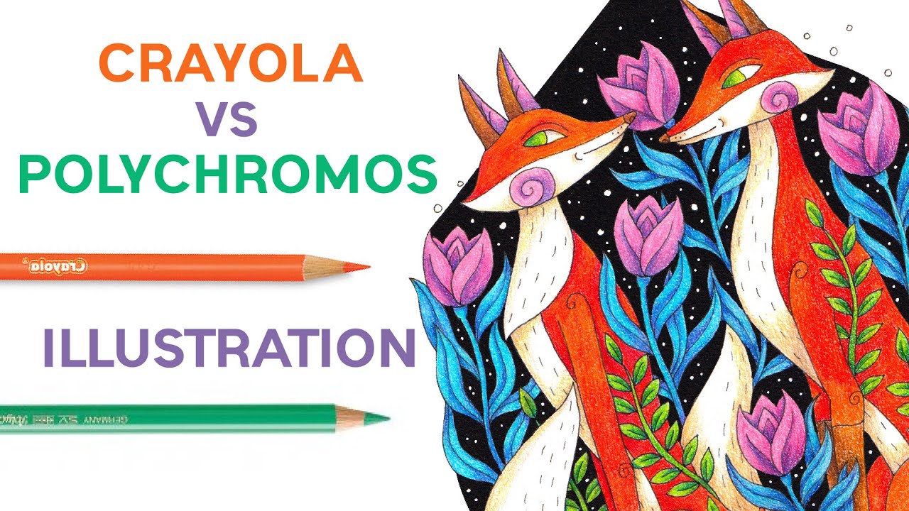 Crayola VS Polychromos Colored Pencils - Fox illustration - YouTube