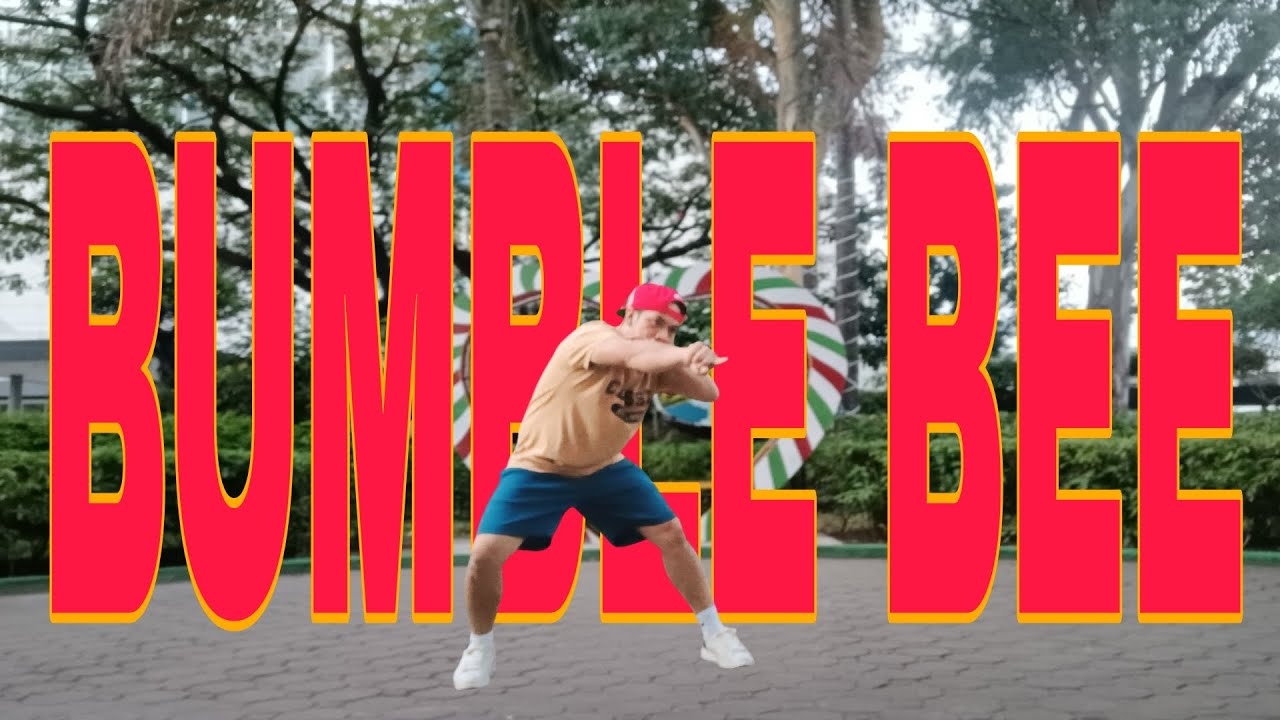 BUMBLE BEE (DJ Renz John Remix ) Dance trends | Dance fitness ...