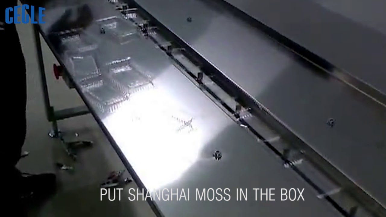 Seaweed packaging machine;Pillow type packing machine Automatic paper ...