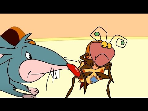 LA SEÑORA CUCARACHA - YouTube