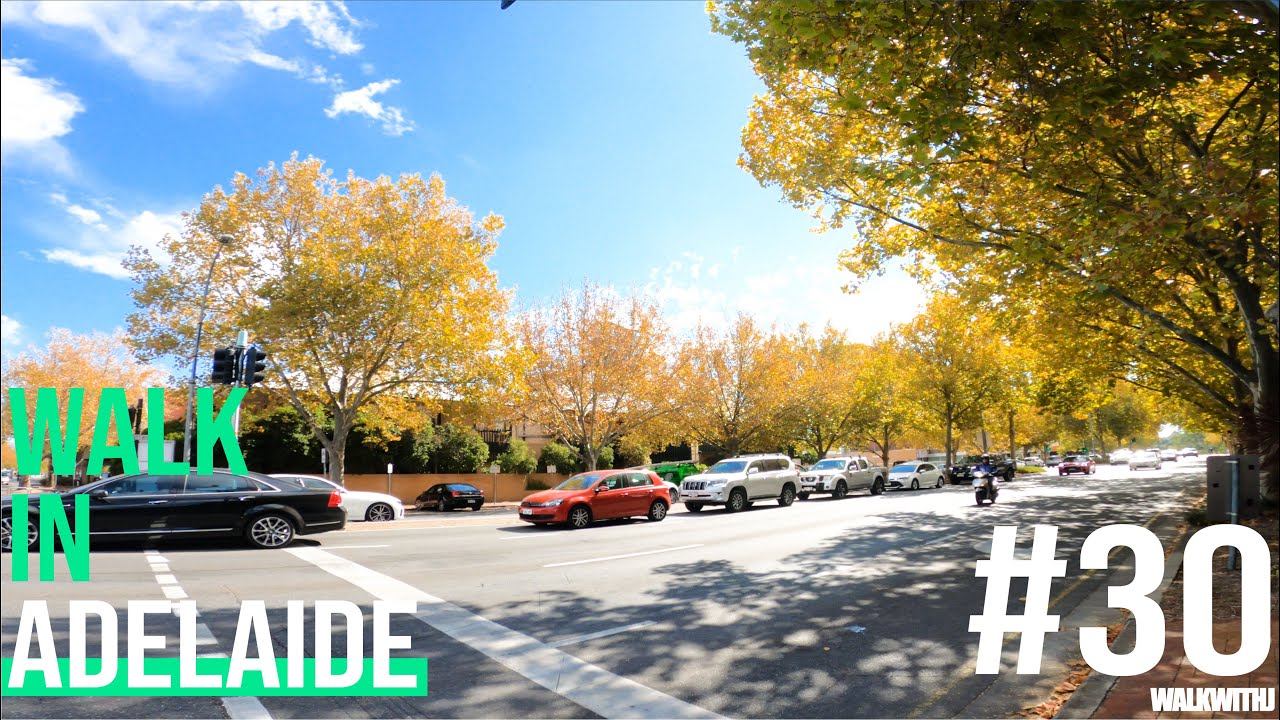 ⁴ᴷ⁶⁰ Adelaide City walk - Rymill Park & King Rodney Park #30 - YouTube
