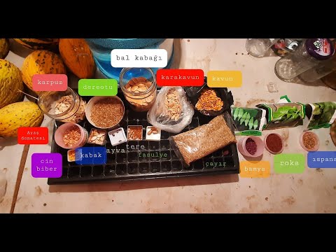 Ata ve Zirai Tohumlar Bu Farka Dikkat - Vegetable Seeds