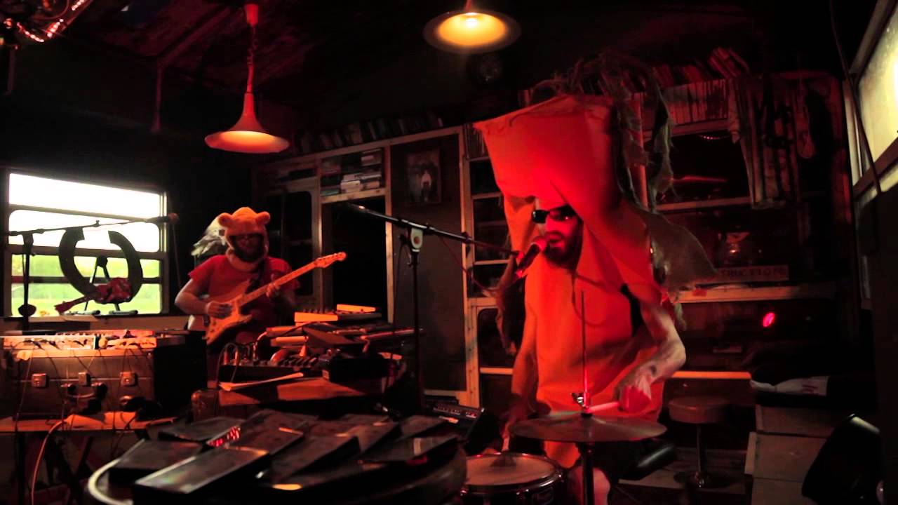 Music For Rabbits @ Tenace : Animal - YouTube