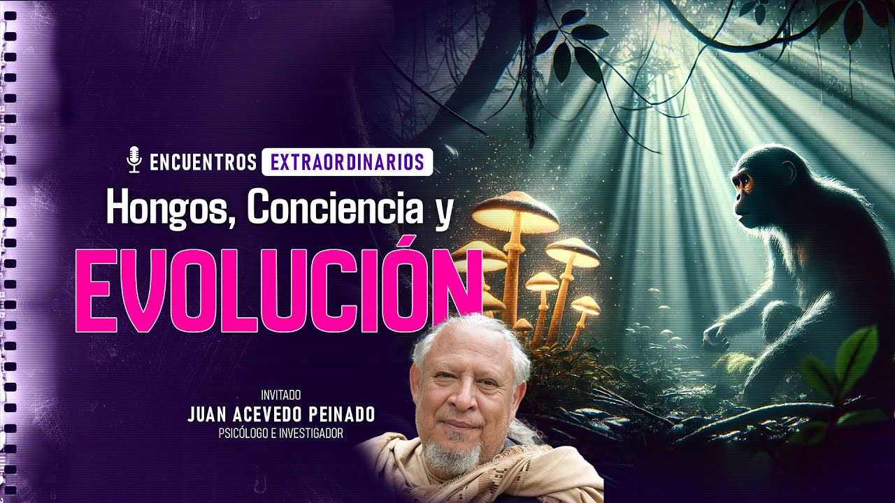 🍄 Hongos, Conciencia y Evolución: La Teoría del Mono Dopado 🧠 ...