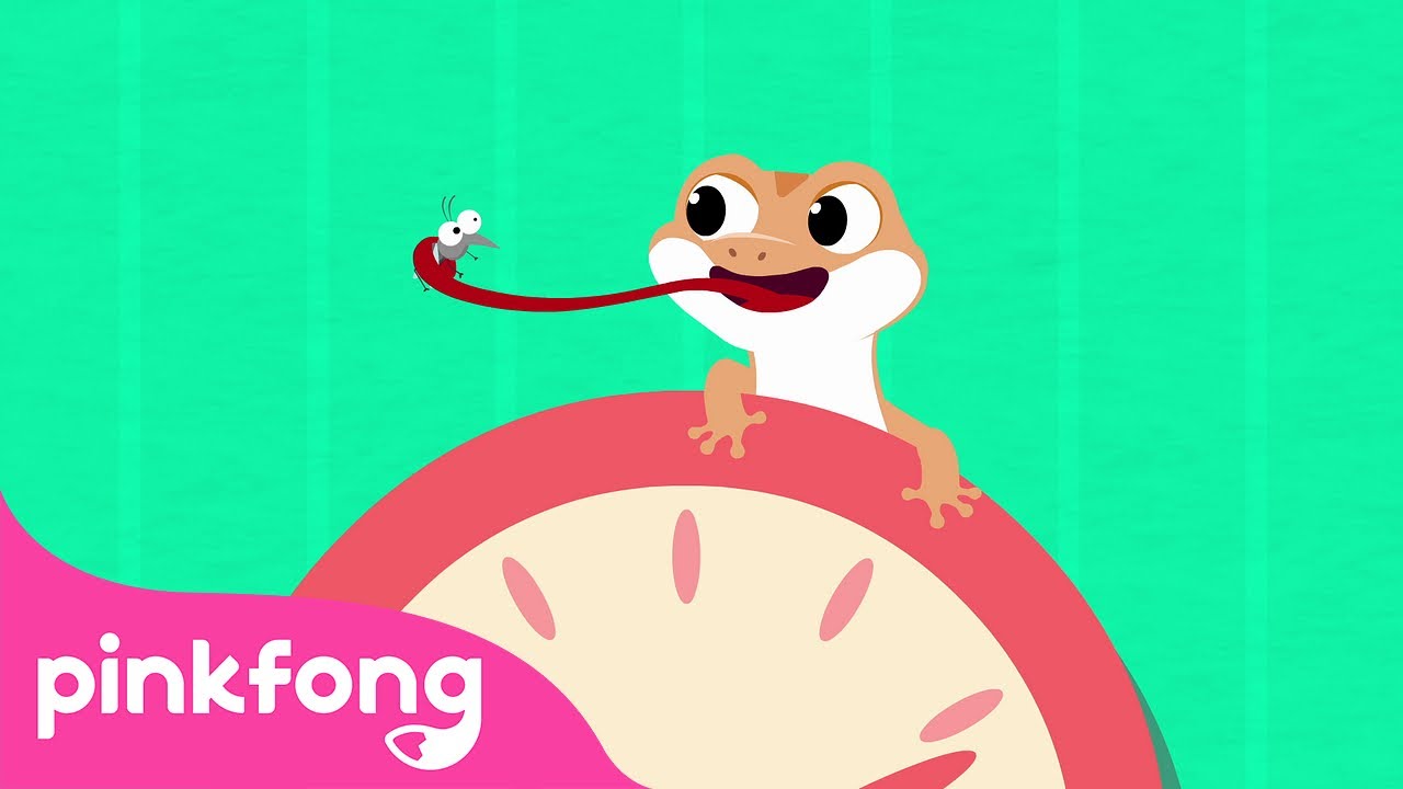 Cicak di dinding | Lagu Anak Indonesia Populer | Kumpulan | Pinkfong ...